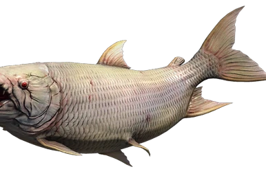 Devil Fish River Monsters