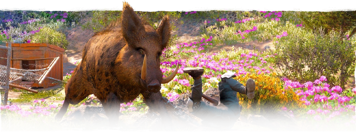 To Love a Boar | Far Cry Wiki | Fandom