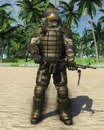 Privateer Heavy Gunner | Far Cry Wiki | Fandom
