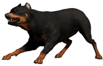 Canidae | Far Cry Wiki | Fandom
