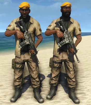 Privateers | Far Cry Wiki | Fandom