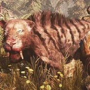 Bloodfang Sabretooth | Far Cry Wiki | Fandom
