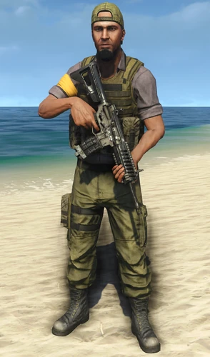 Privateers | Far Cry Wiki | Fandom