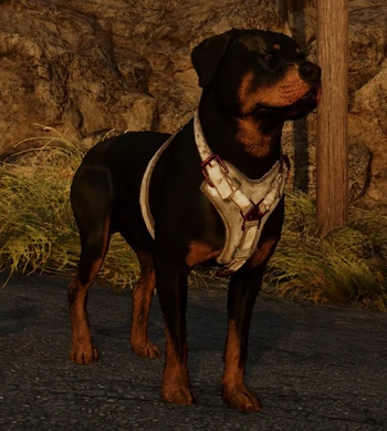 Canidae | Far Cry Wiki | Fandom