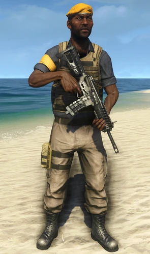 Privateers | Far Cry Wiki | Fandom