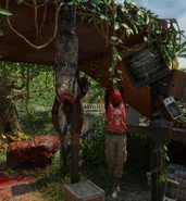 Pirates | Far Cry Wiki | Fandom