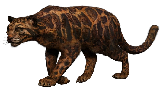Shadow Leopard | Far Cry Wiki | Fandom