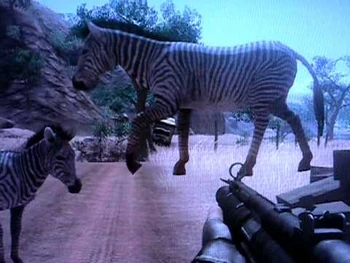 Zebra | Far Cry Wiki | Fandom