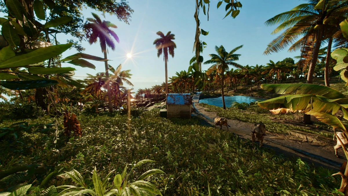 Conuco | Far Cry Wiki | Fandom