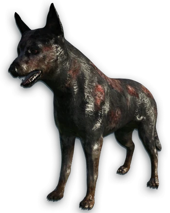 Canidae | Far Cry Wiki | Fandom