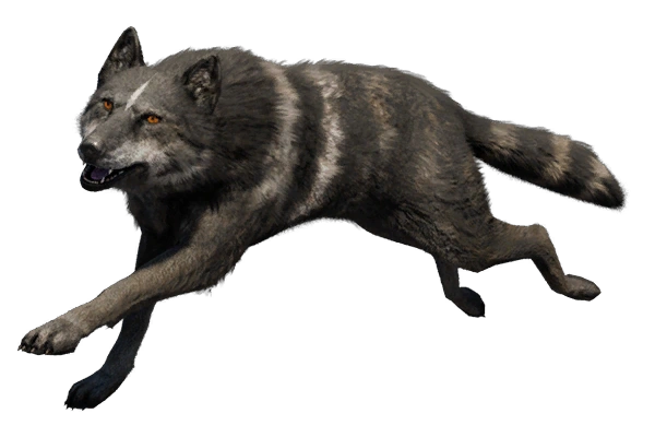 Mad Devil | Far Cry Wiki | Fandom