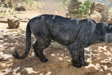 Far Cry 4 Rare Demon Fish