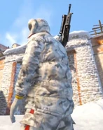 Royal Army and Guard Snow Soldier | Far Cry Wiki | Fandom
