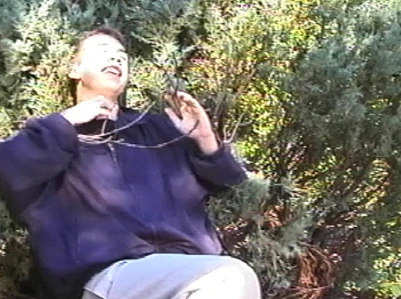 Killer Trees | Fargo Filmmaking | Fandom