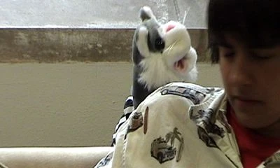 Puppet Without Pity | Fargo Filmmaking | Fandom