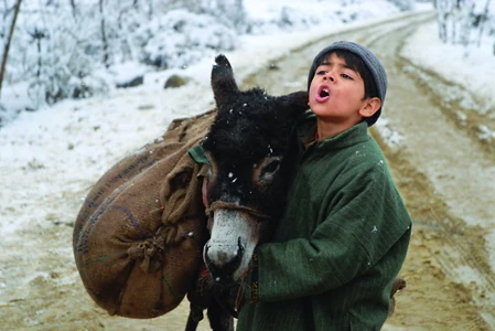 Tahaan | Fargo Filmmaking | Fandom