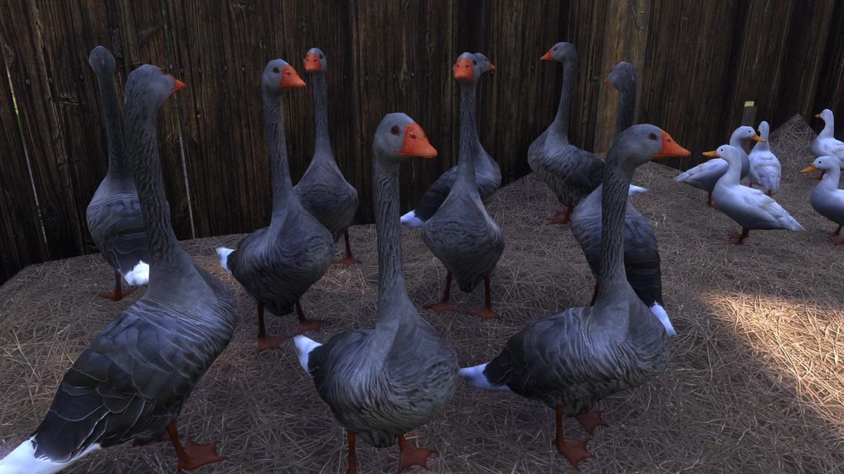 Gans | Farmer's Dynasty Wiki | Fandom