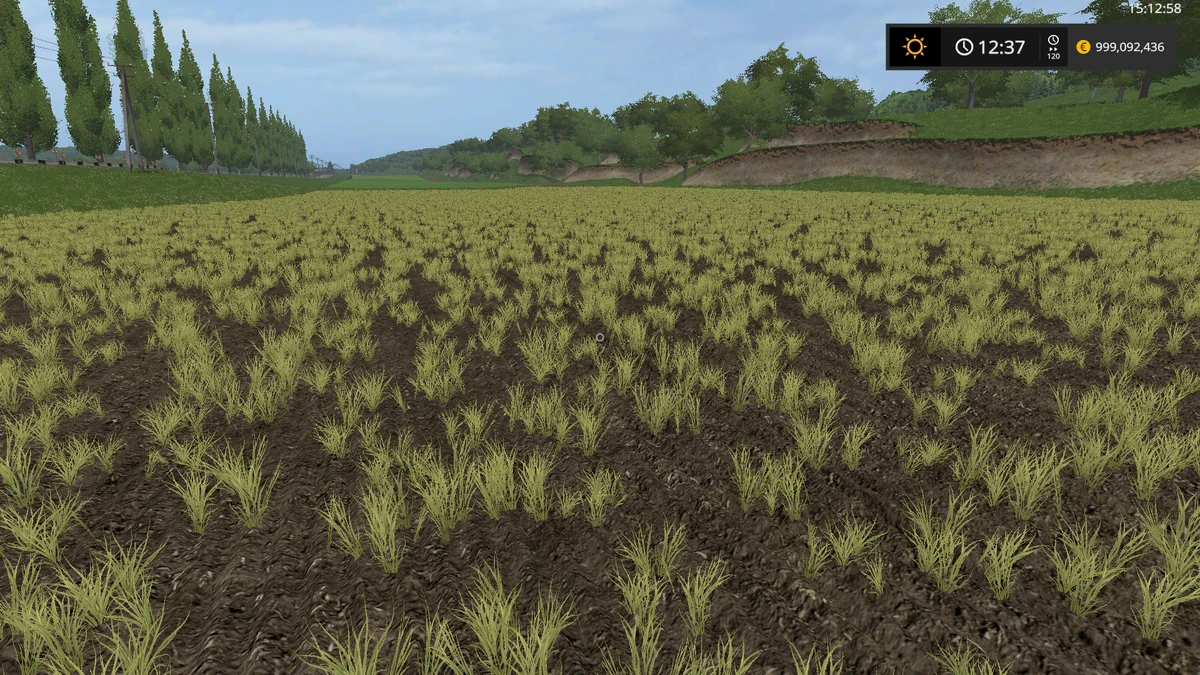 Wheat | Farming Simulator 2017 Wiki | Fandom