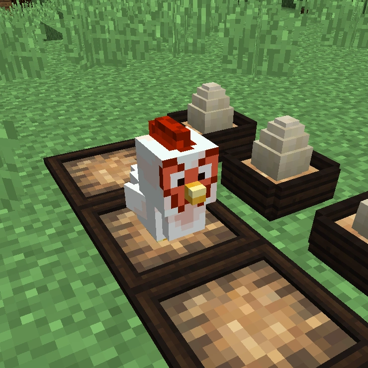 Minecraft Chicken Farm