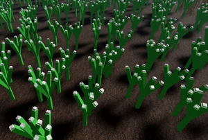 Crops | Farming and Friends Wiki | Fandom