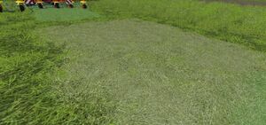 Hay/Farming Simulator 13 | Farming Simulator Wiki | Fandom