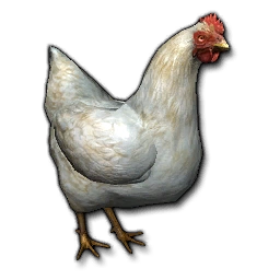 Chickens/Farming Simulator 15 | Farming Simulator Wiki | Fandom