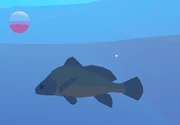 Fish | Farmstead Wiki | Fandom