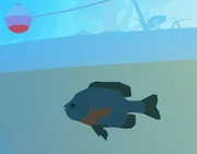 Fish | Farmstead Wiki | Fandom