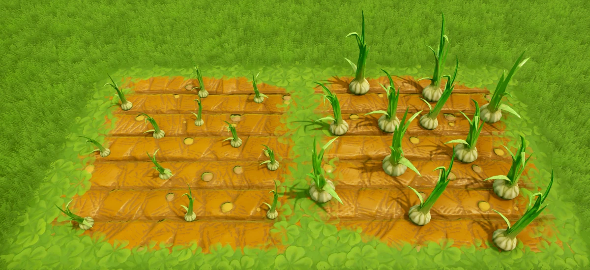 Garlic | Farm Together Wiki | Fandom