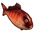 Red Snapper | Farm Together Wiki | Fandom