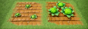 Romanesco | Farm Together Wiki | Fandom
