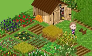 Farm town Wiki | Fandom