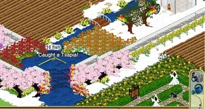 Ponds | Farm town Wiki | Fandom