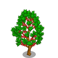 Coffee Tree | FarmVille Wiki | Fandom