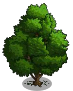 California Laurel Tree | FarmVille Wiki | Fandom