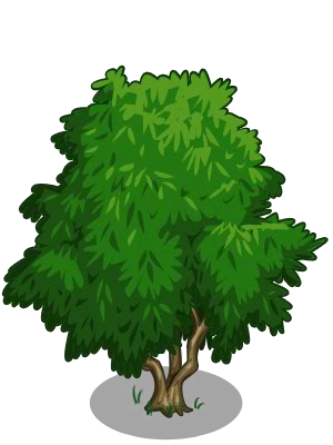 Mango Tree | FarmVille Wiki | Fandom