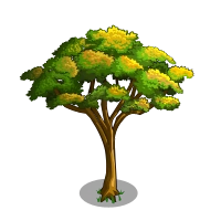 Savannah Acacia Tree | FarmVille Wiki | Fandom