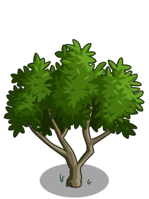 Apricot Tree | FarmVille Wiki | Fandom