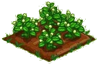 Double Pikake | FarmVille Wiki | Fandom