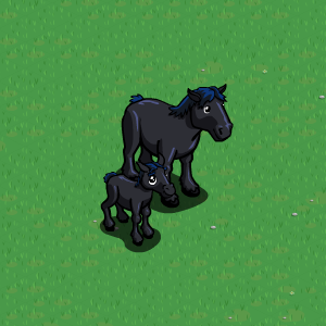 Percheron Foal | FarmVille Wiki | Fandom