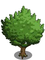 Hazelnut Tree | FarmVille Wiki | Fandom
