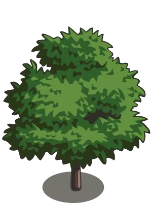 Persimmon Tree | FarmVille Wiki | Fandom
