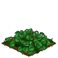 Cucumber | FarmVille Wiki | Fandom