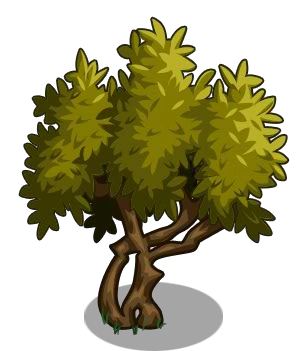 Olive Tree | FarmVille Wiki | Fandom