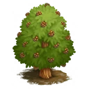 Great Basin Bristlecone Tree | FarmVille 2 Wiki | Fandom
