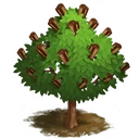 Cinnamon Tree | FarmVille 2 Wiki | Fandom