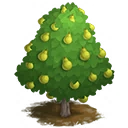 Pear Tree | FarmVille 2 Wiki | Fandom