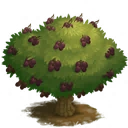 Olive Tree | FarmVille 2 Wiki | Fandom