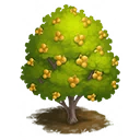 Category:Wood Trees | FarmVille 2 Wiki | Fandom