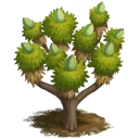Yucca Tree | FarmVille 2 Wiki | Fandom